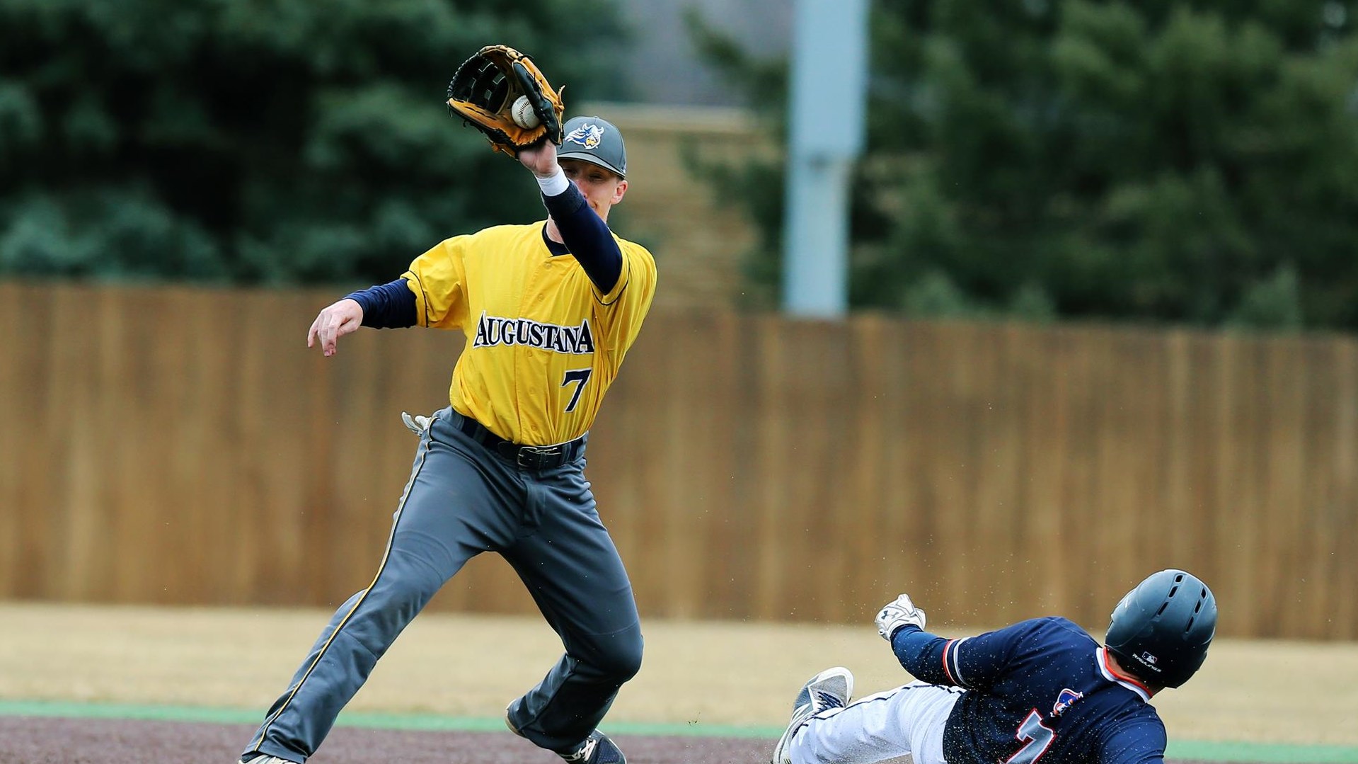 Ford Schroeder - Baseball - Augustana University Athletics