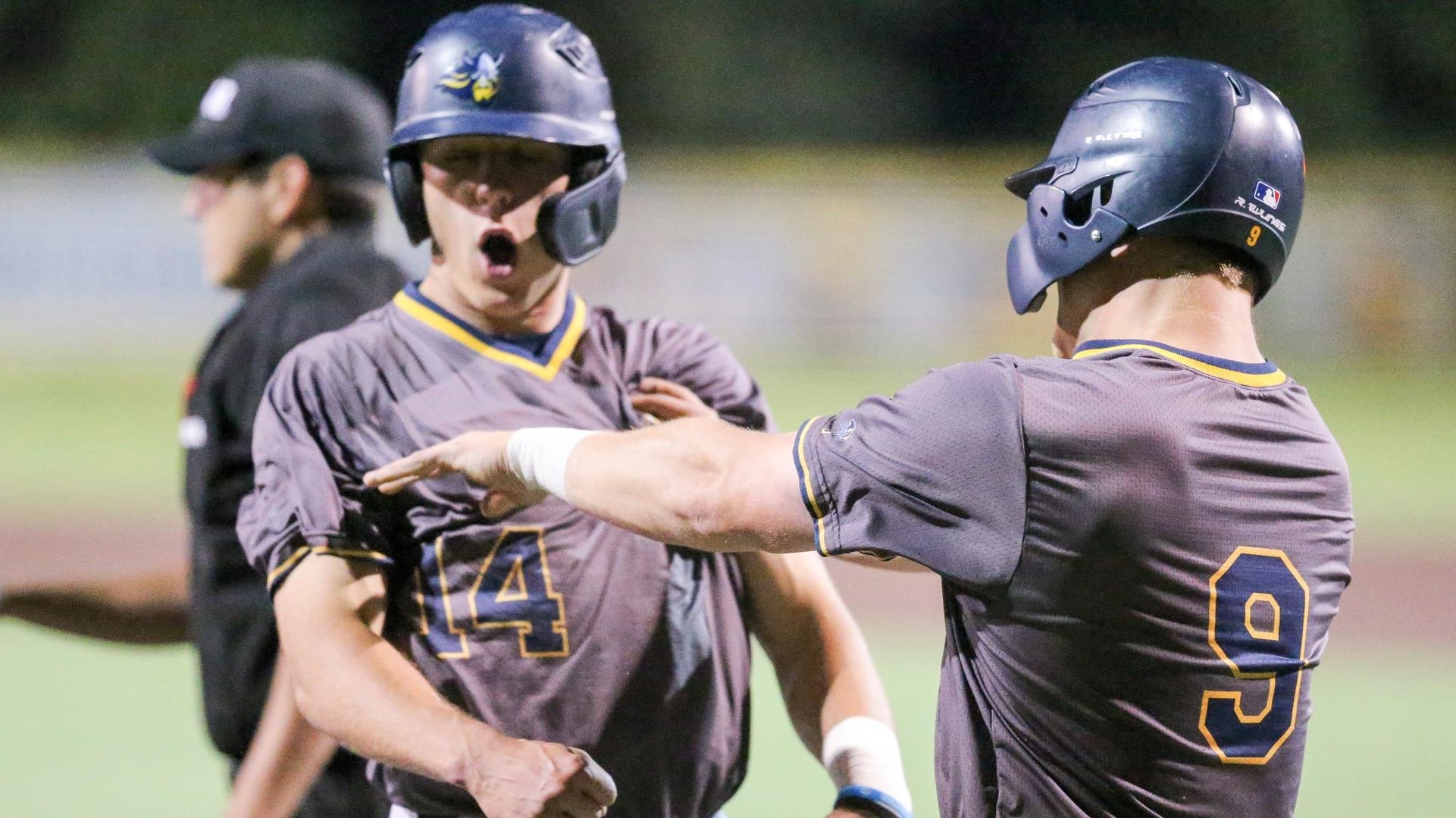 Sam Baier - Baseball - Augustana University Athletics