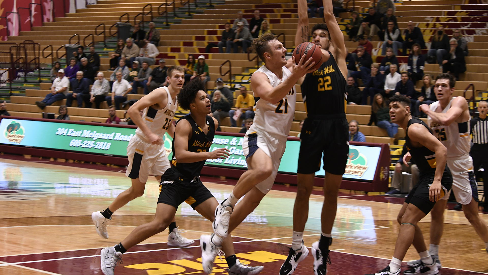 Men’s Basketball Stings Yellow Jackets, 73-63 - Augustana University ...