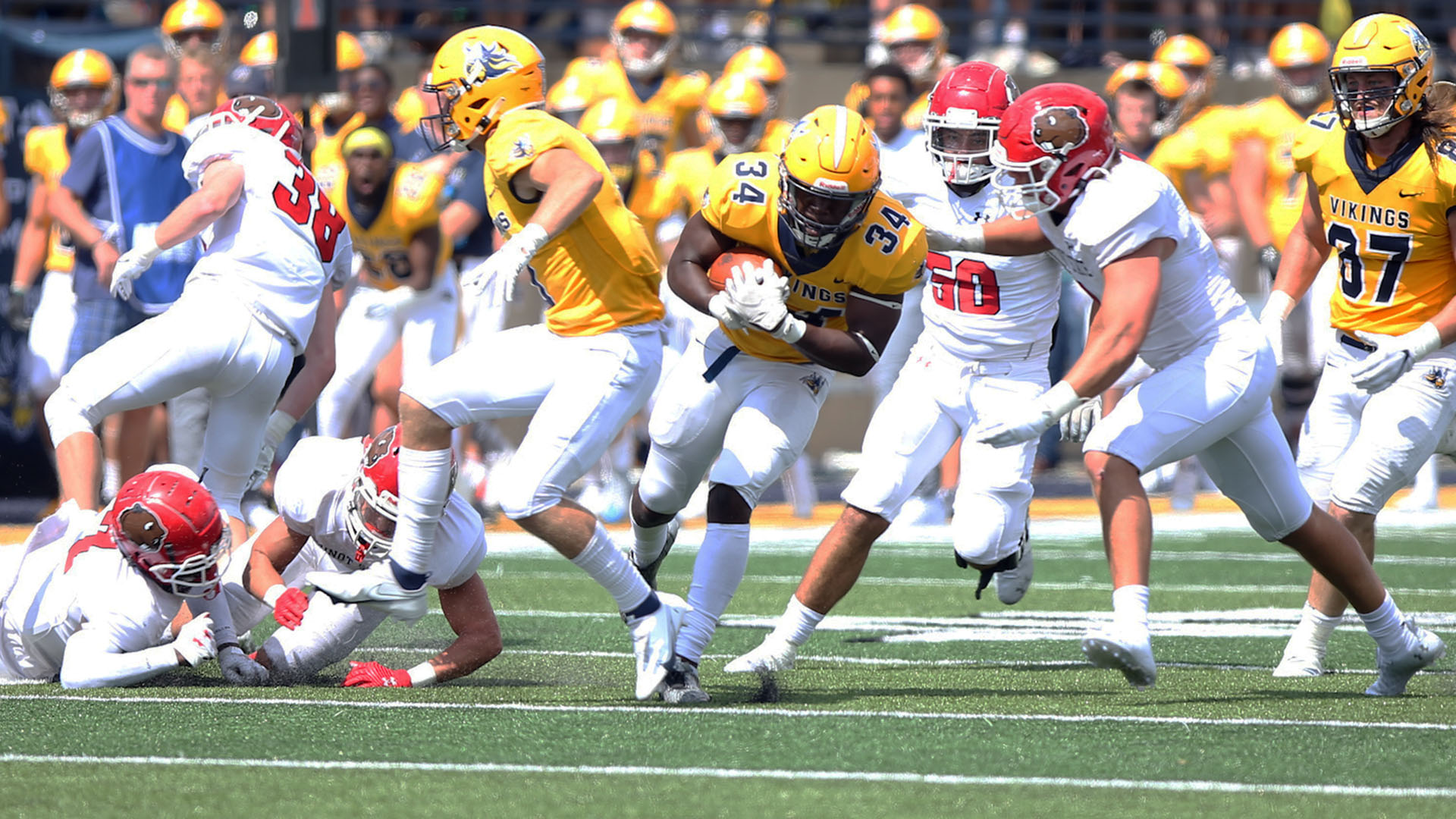 David Addo - Football - Augustana University Athletics