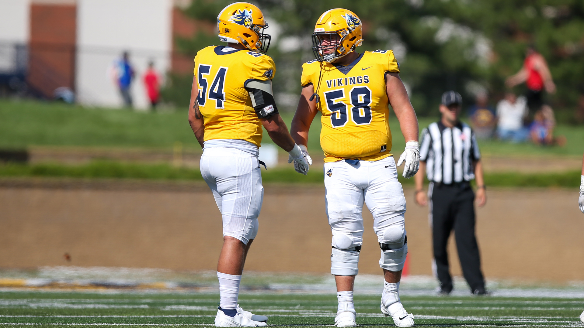 Jett Lamb - Football - Augustana University Athletics