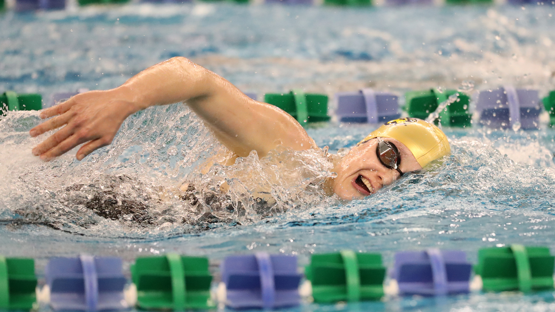 Taylor Beagle - Women's Swimming & Diving - Augustana University Athletics