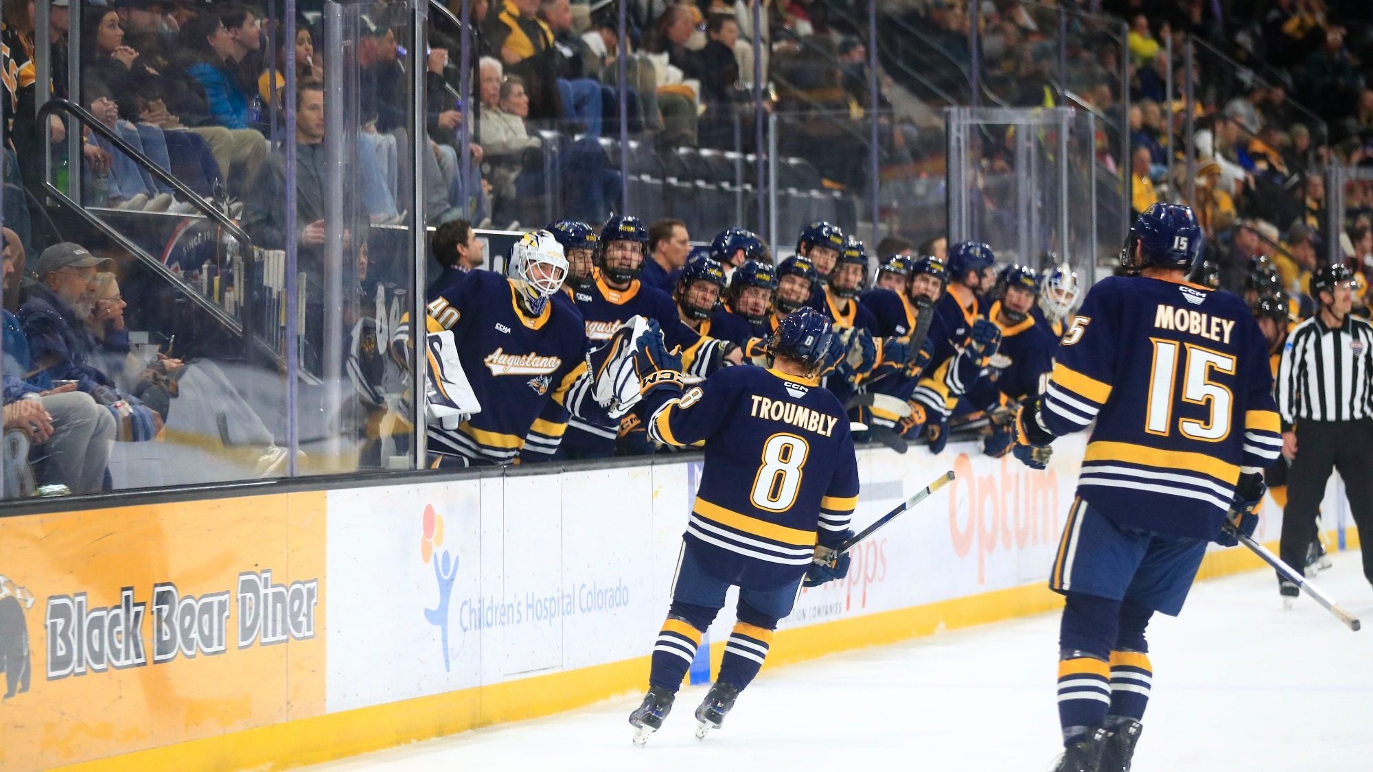 Viking Hockey Caps Off Weekend With a 4-3 Win - Augustana University ...