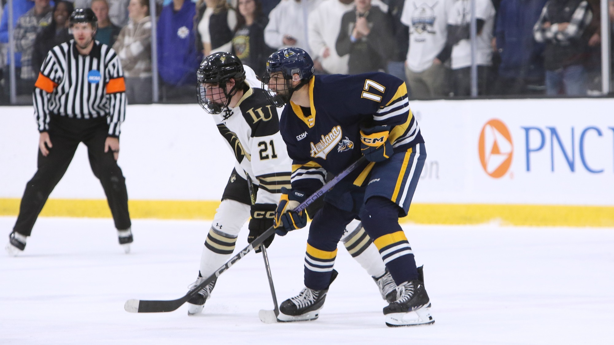 Ryan Naumovski - Men's Hockey - Augustana University Athletics