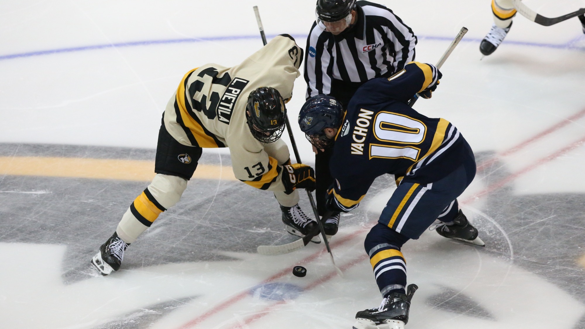 Arnaud Vachon - Men's Hockey - Augustana University Athletics