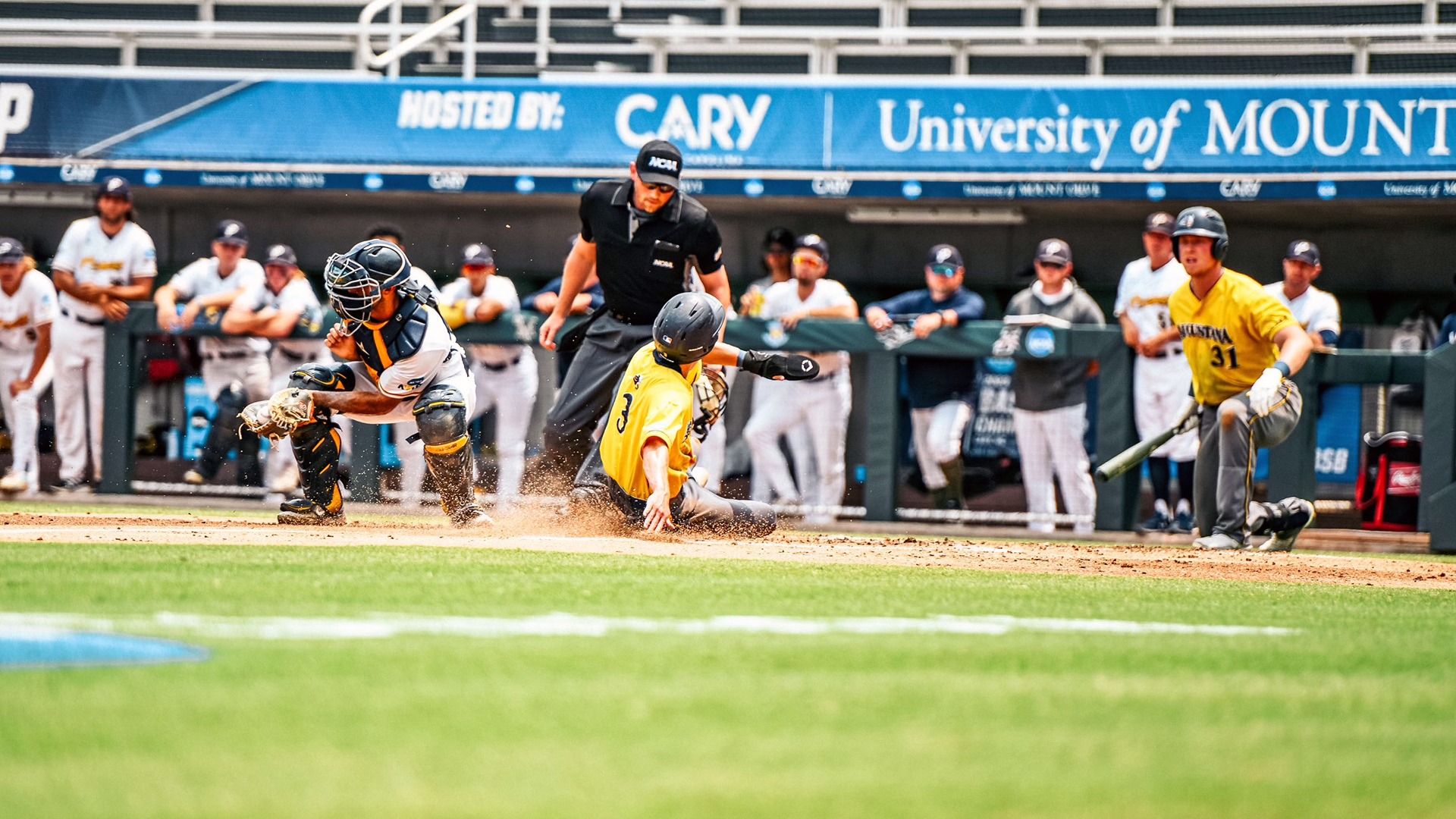 Viking Baseball Concludes Season at DII World Series - Augustana ...