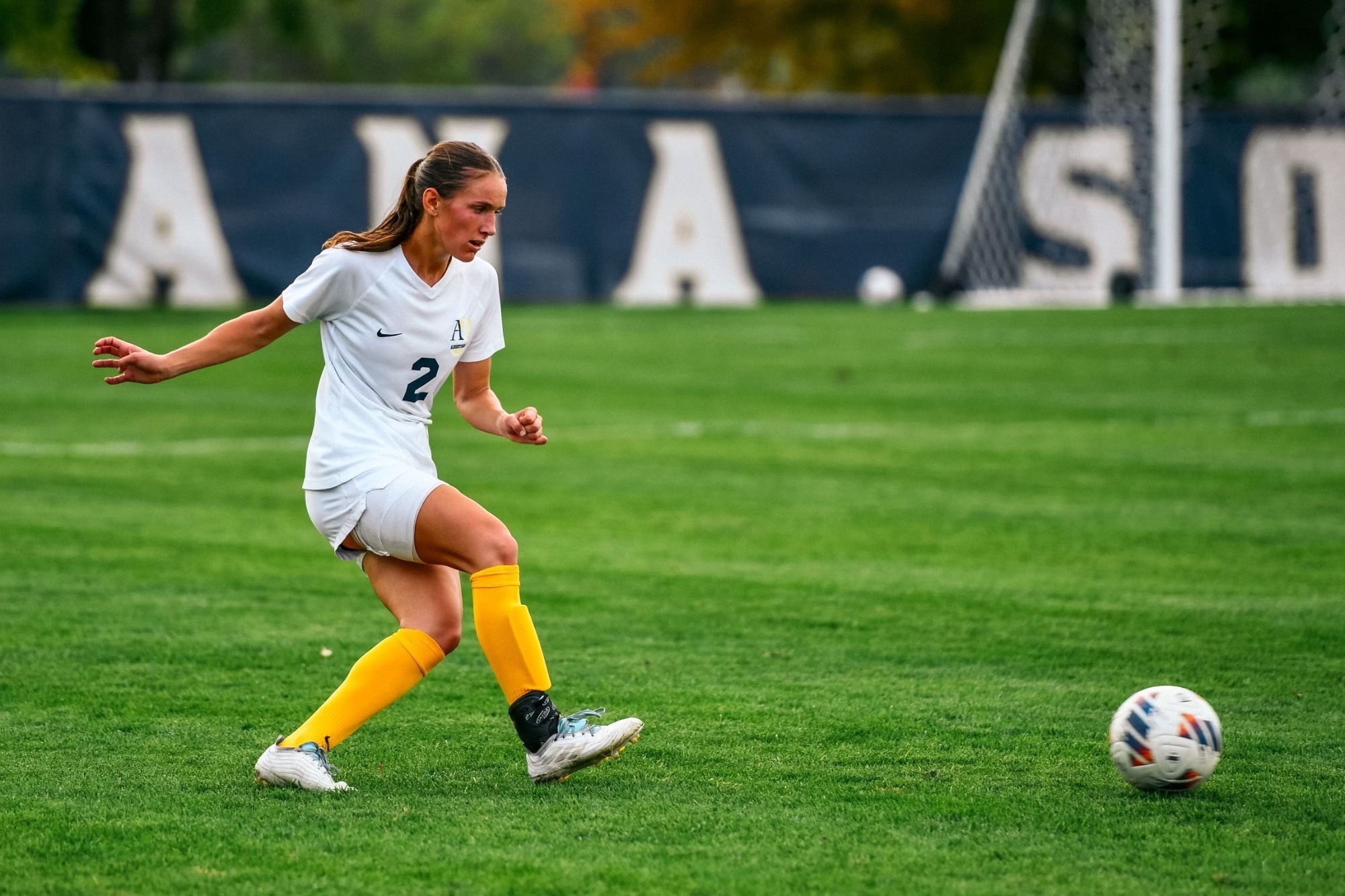 Viking Soccer Kicks Off Alumni Weekend with a 2-1 Win - Augustana ...