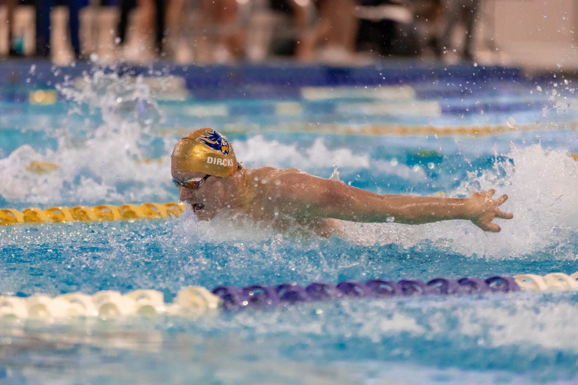 Viking Swim & Dive Sees Four Advance to Finals on the Last Day of GLIAC ...