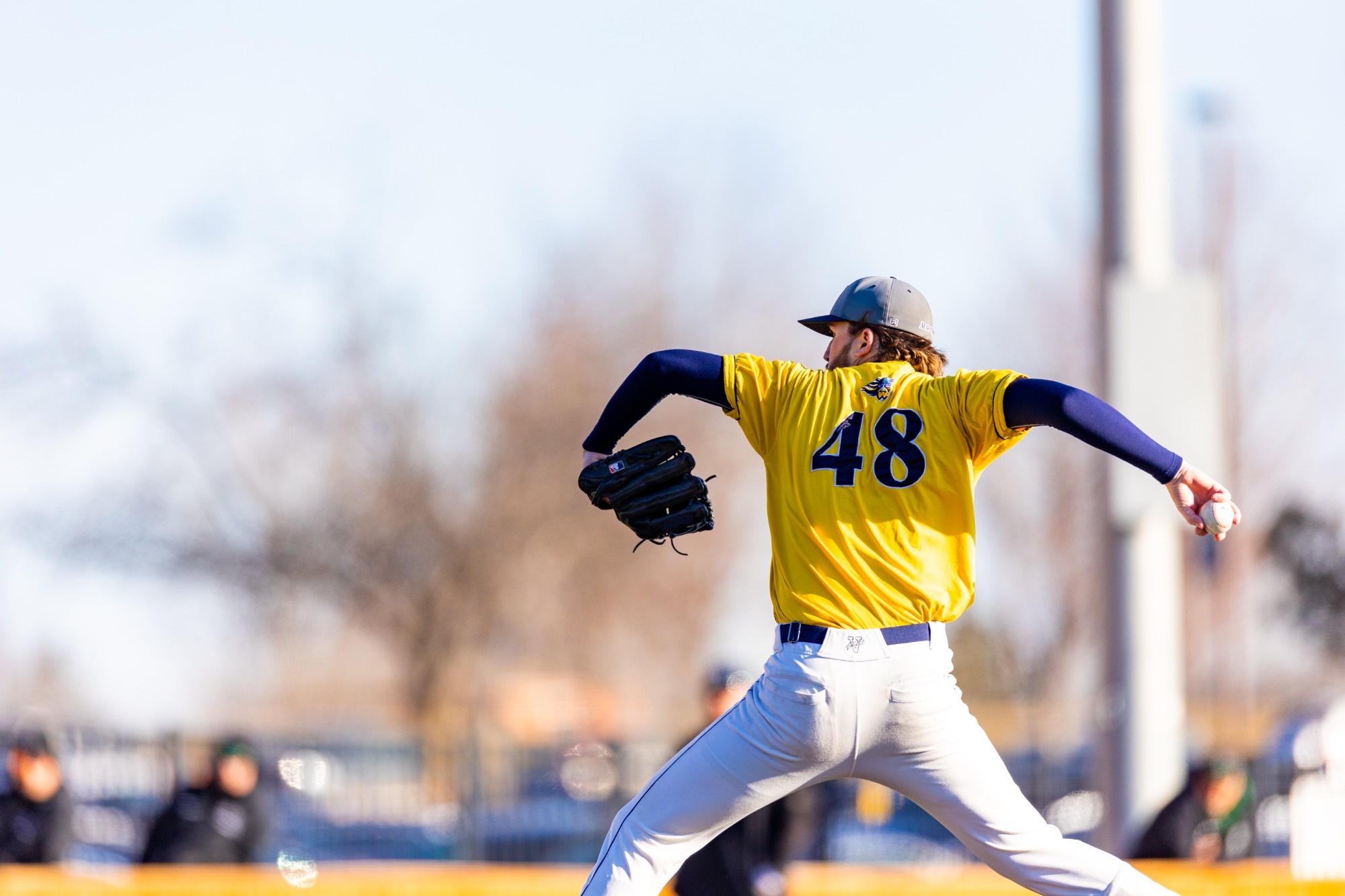 Caleb Saari - Baseball - Augustana University Athletics