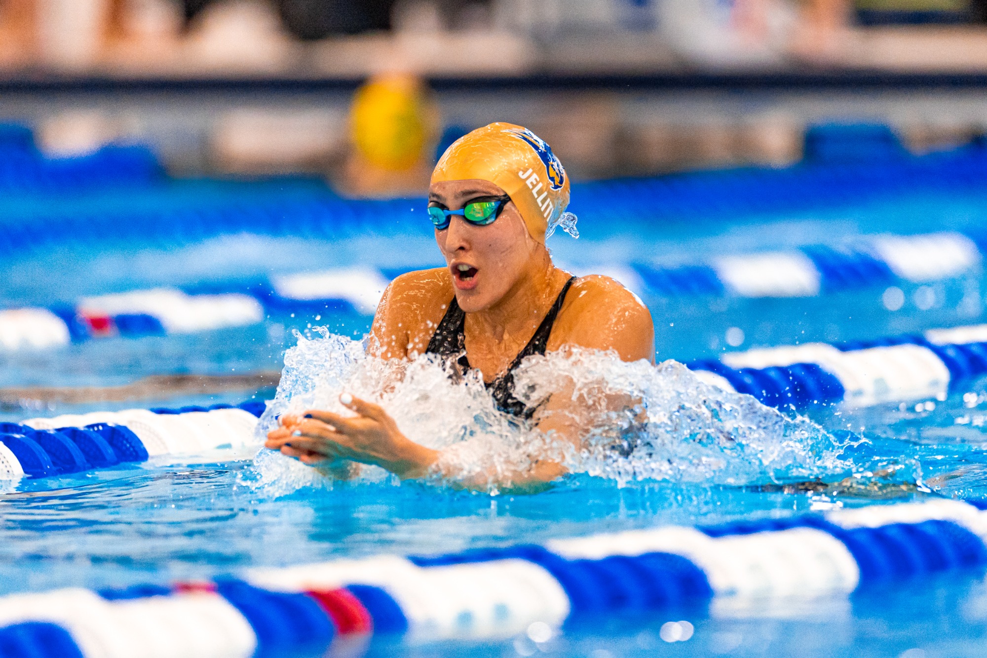 Five Men's Swimming & Diving Records Fall in First Day of the GLIAC ...