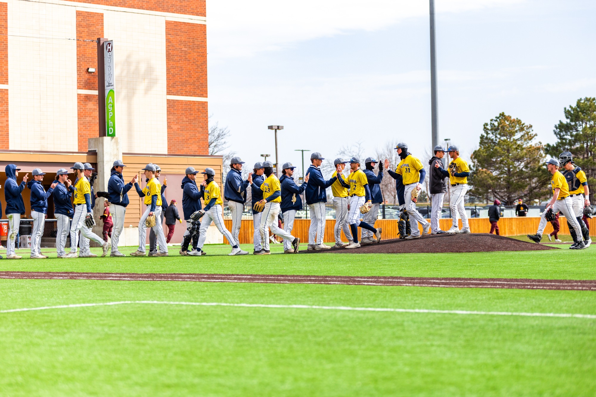 Vikings Earn Tough Road Sweep Over Wayne State - Augustana University ...