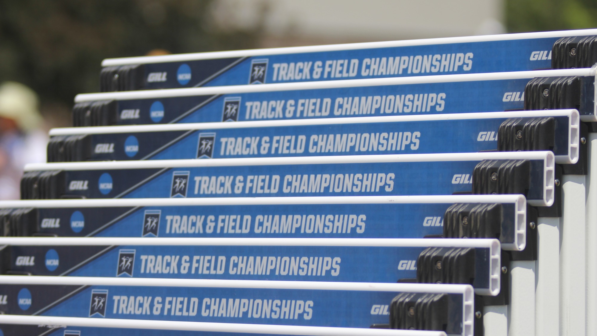 Viking Track and Field Wraps Up Final Day of NSIC Indoor Championships ...