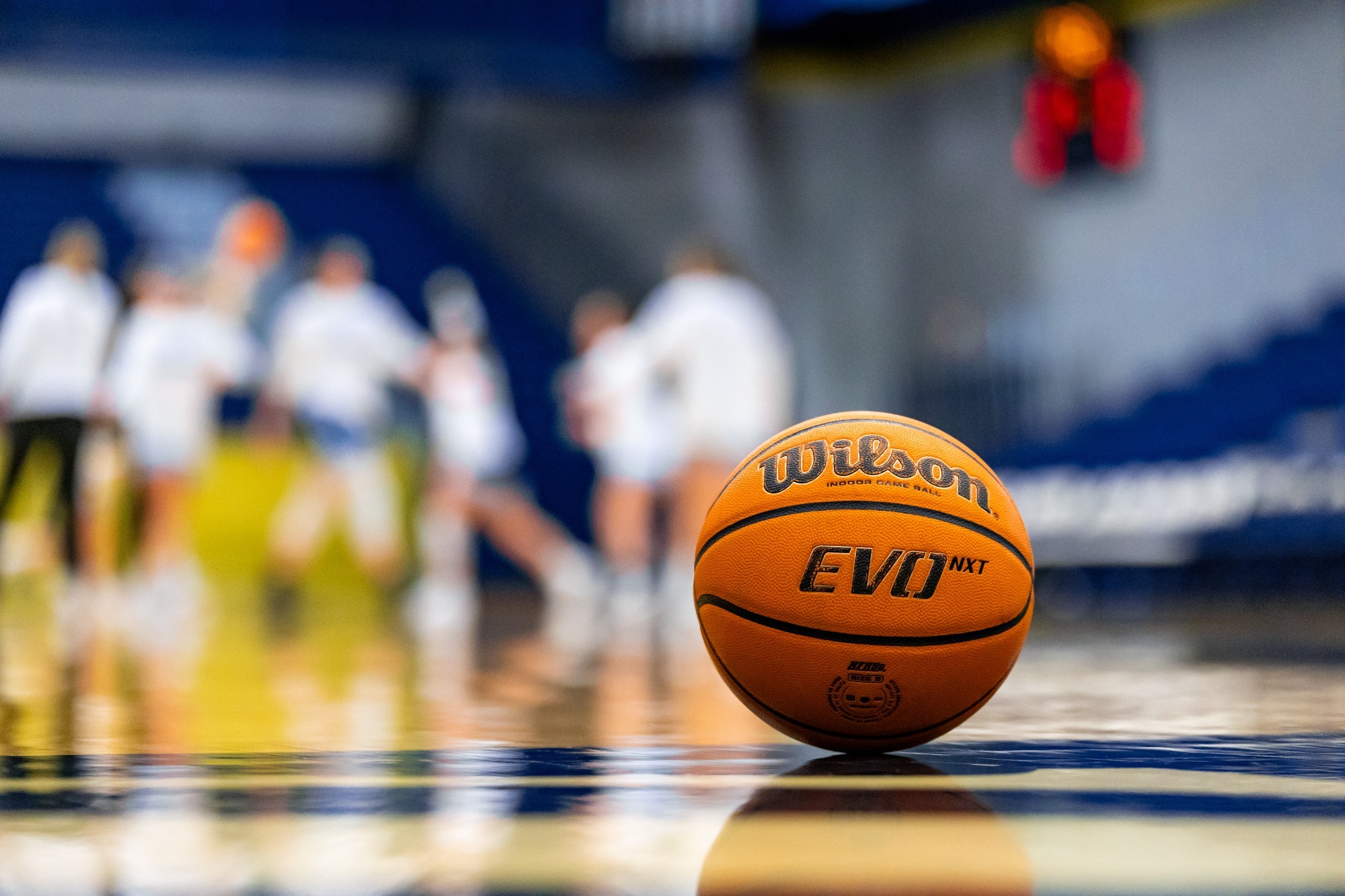 Viking Men's Basketball Selected Fifth, Te Slaa Named Player to Watch ...