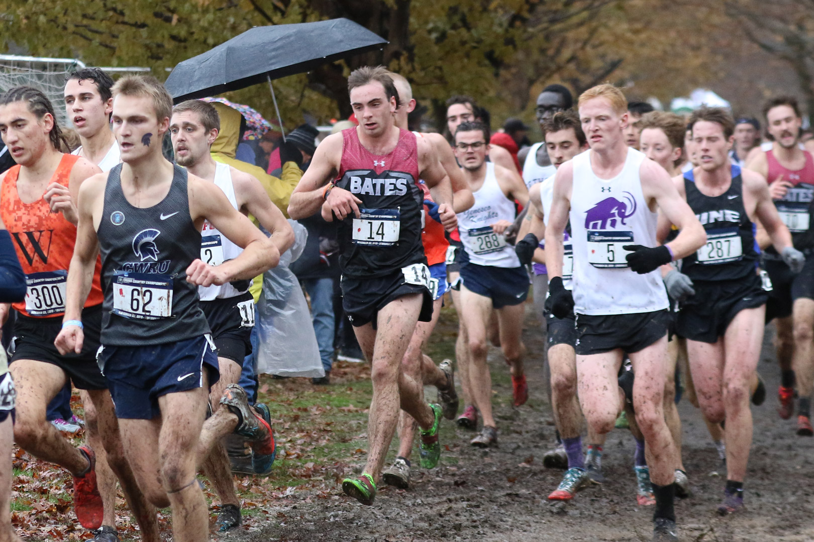 Ryan Nealis - 2020 - Men's Cross Country - Bates College