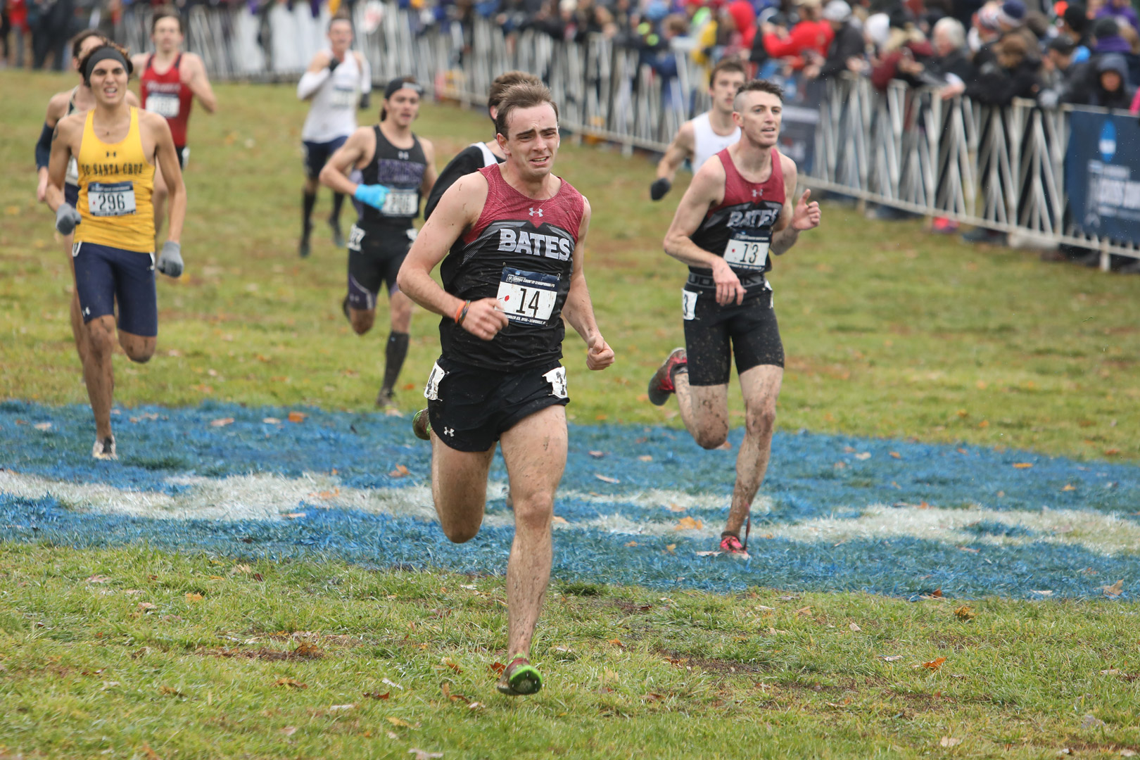 Ryan Nealis - 2020 - Men's Cross Country - Bates College
