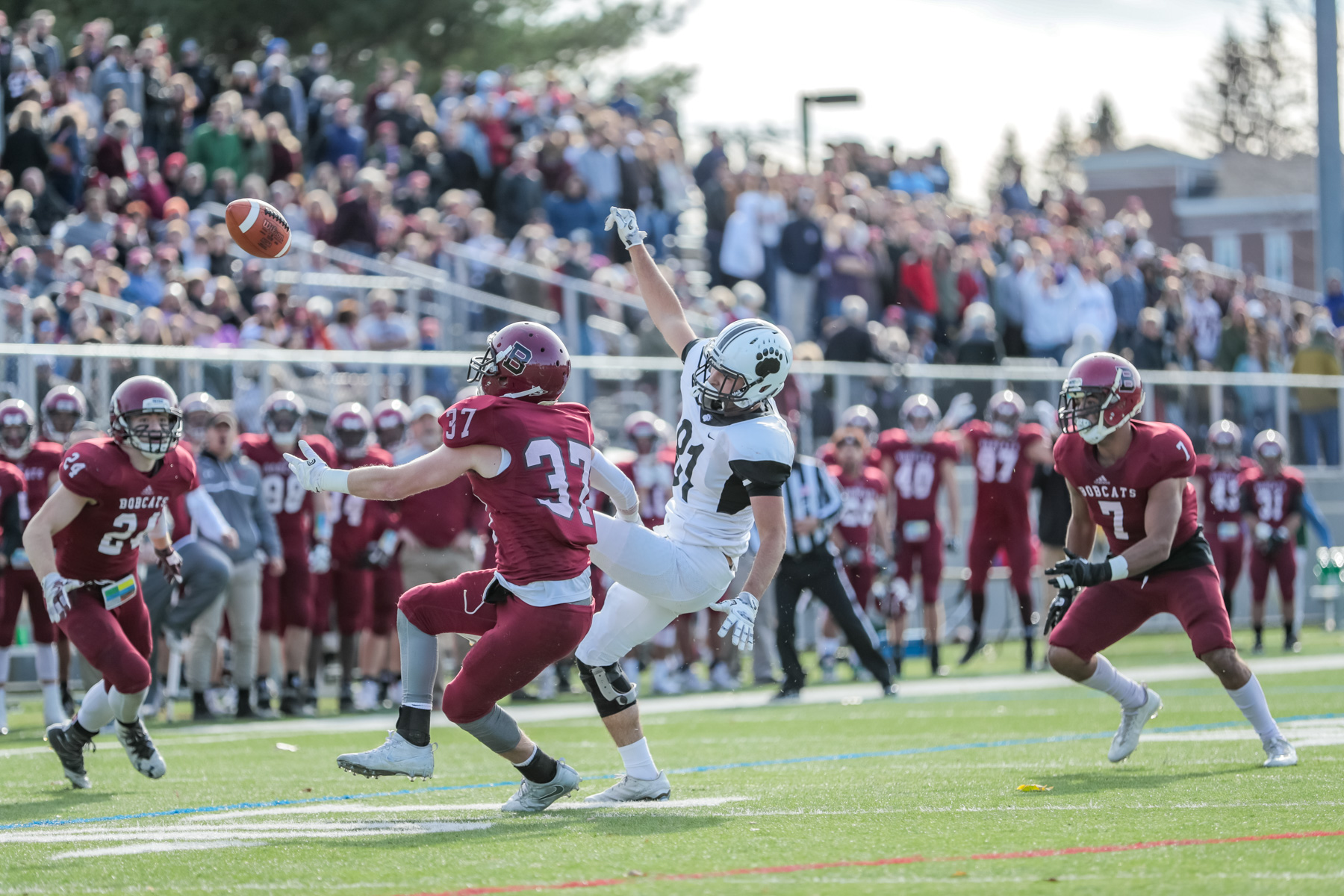 Peter Daley - 2019 - Football - Bates College