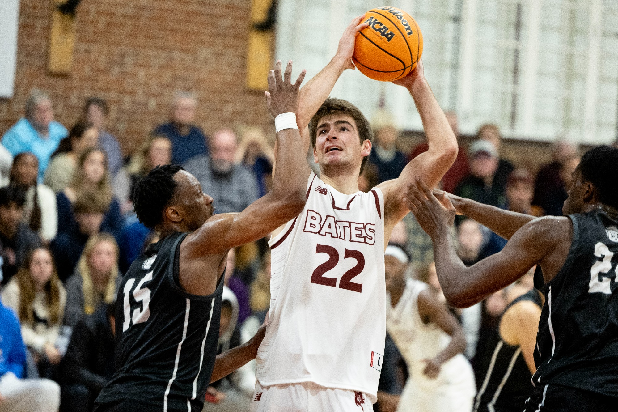 Psyhogeos named to All-Tournament Team, men's basketball falls 81-67 to ...
