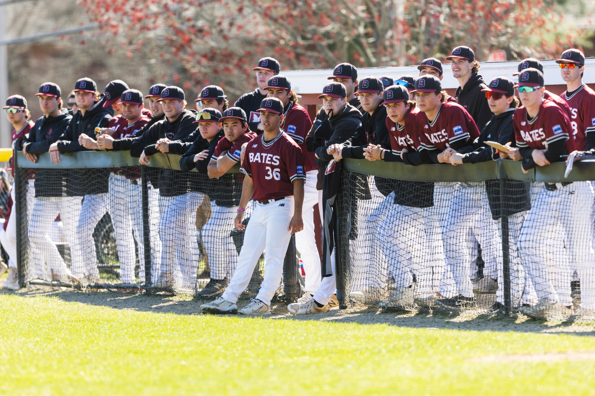 Baseball drops a pair of road games to No. 24 Colby - Bates College