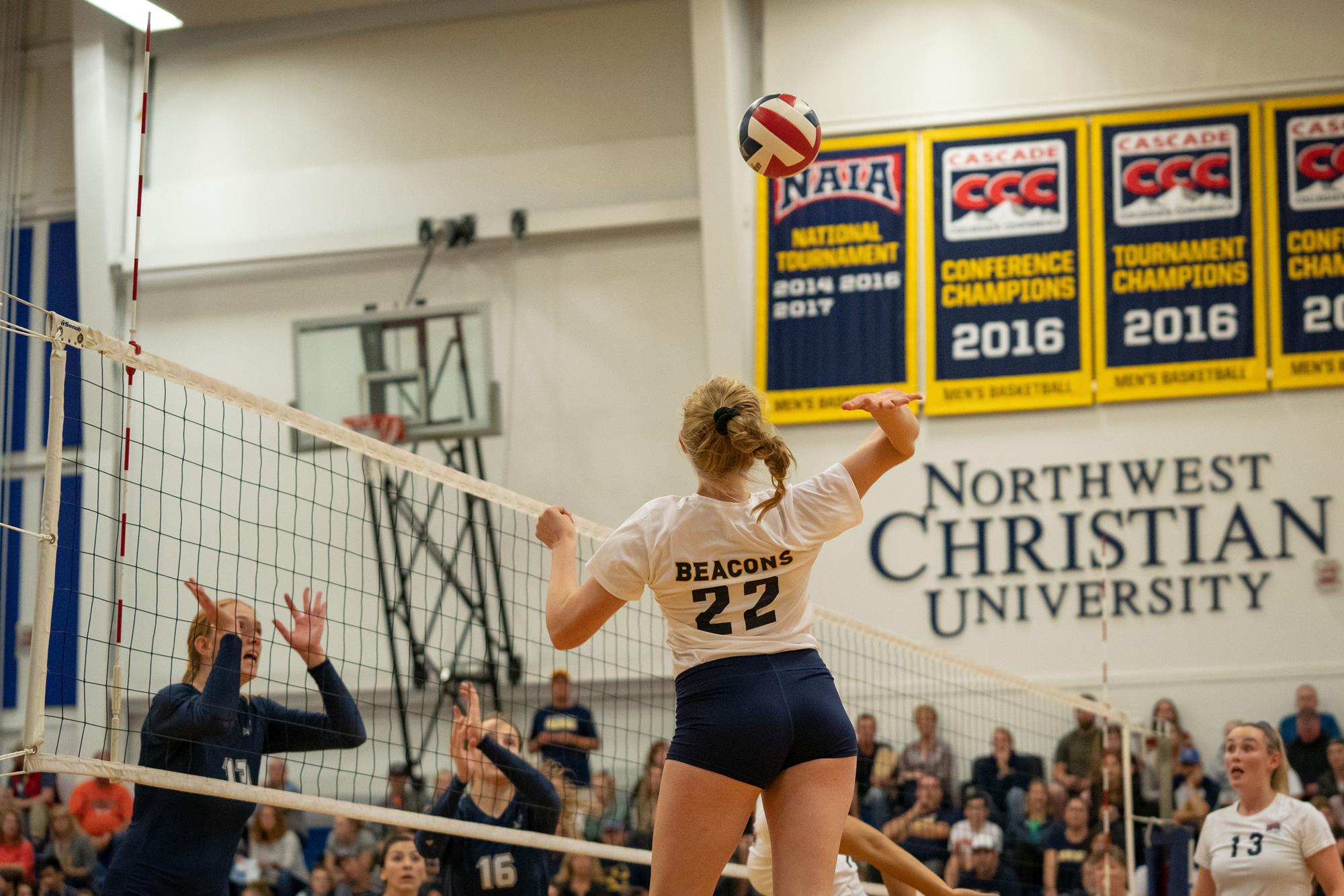 Taylor Gould - Volleyball - Bushnell University Athletics