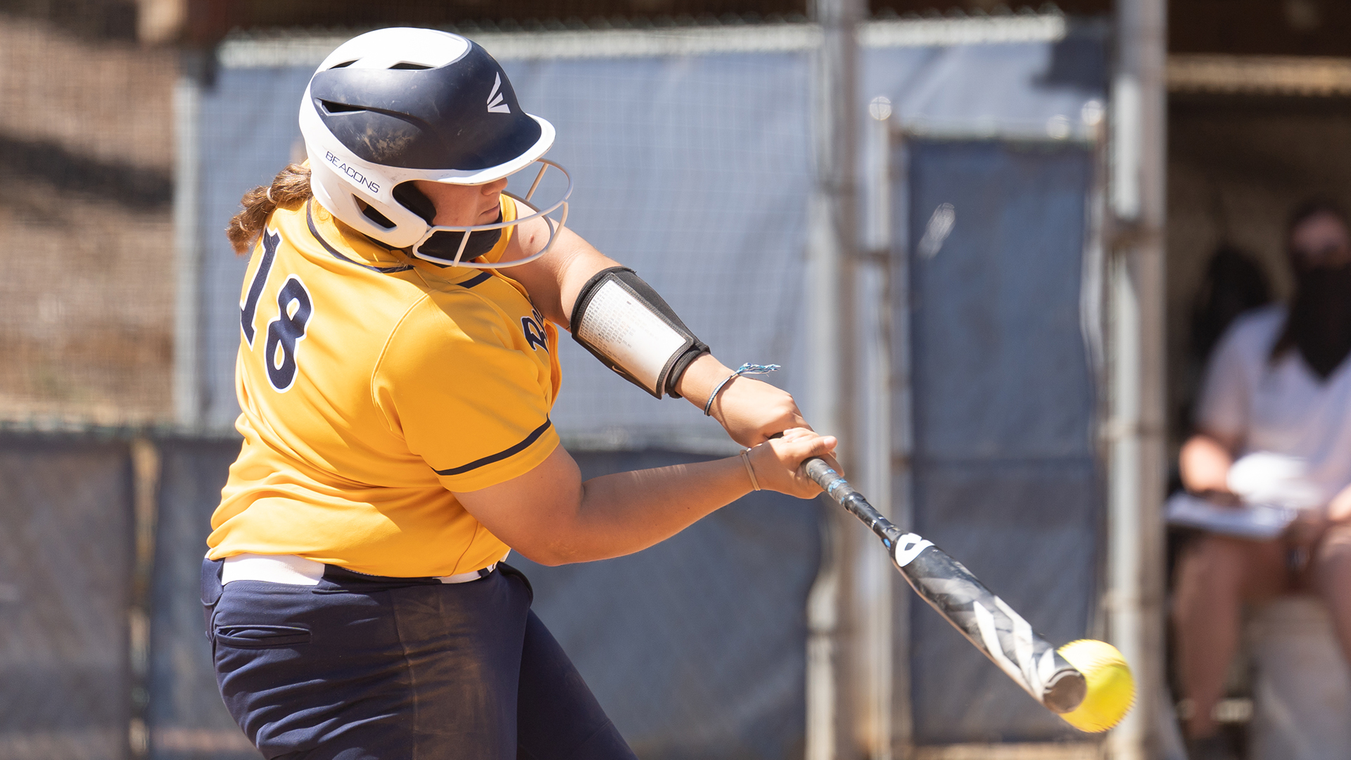 Sweep Helps End Season on High Note - Bushnell University Athletics