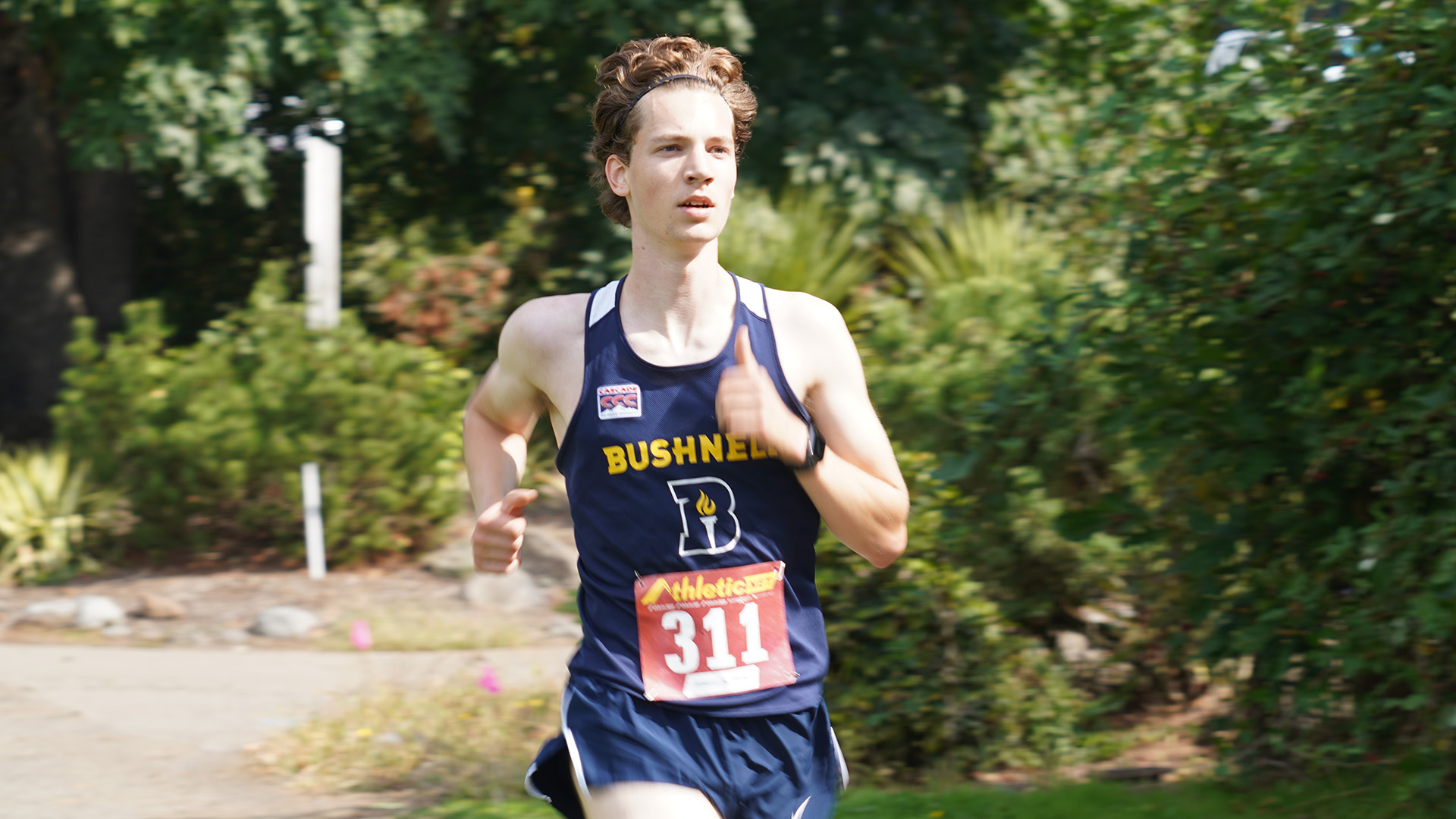 Noah Mancione - Men's Cross Country - Bushnell University Athletics