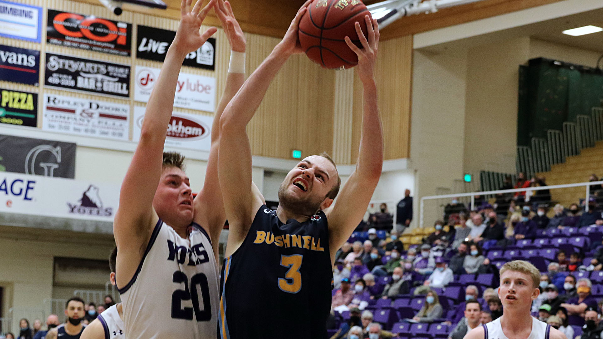 Stevie Schlabach - Men's Basketball - Bushnell University Athletics