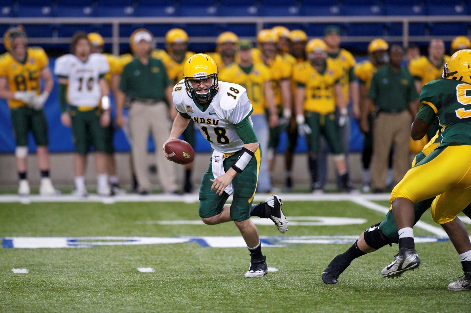 Cole Davis - 2017 - Football - NDSU