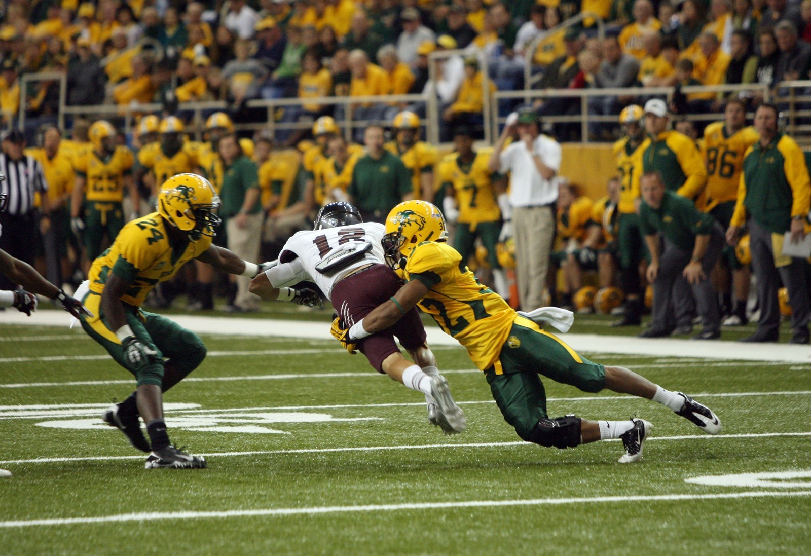 Bryan Shepherd - 2013 - Football - NDSU