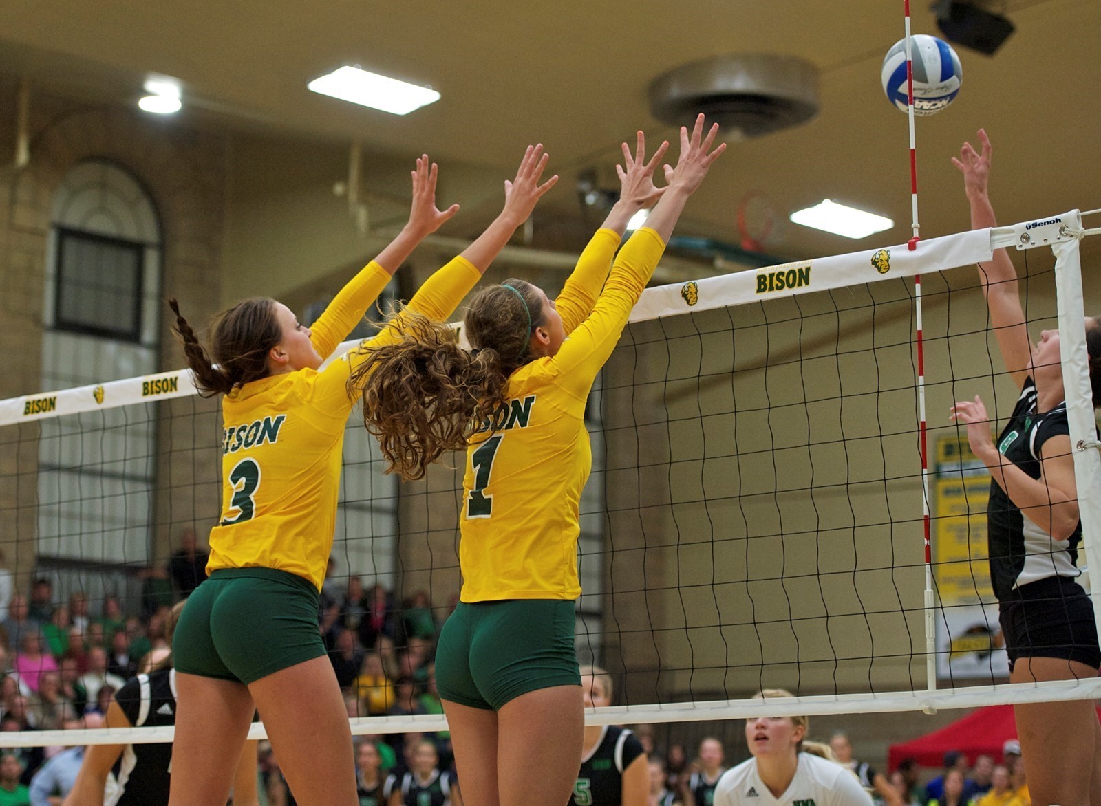 Jessica Jorgensen - 2017 - Women's Volleyball - NDSU