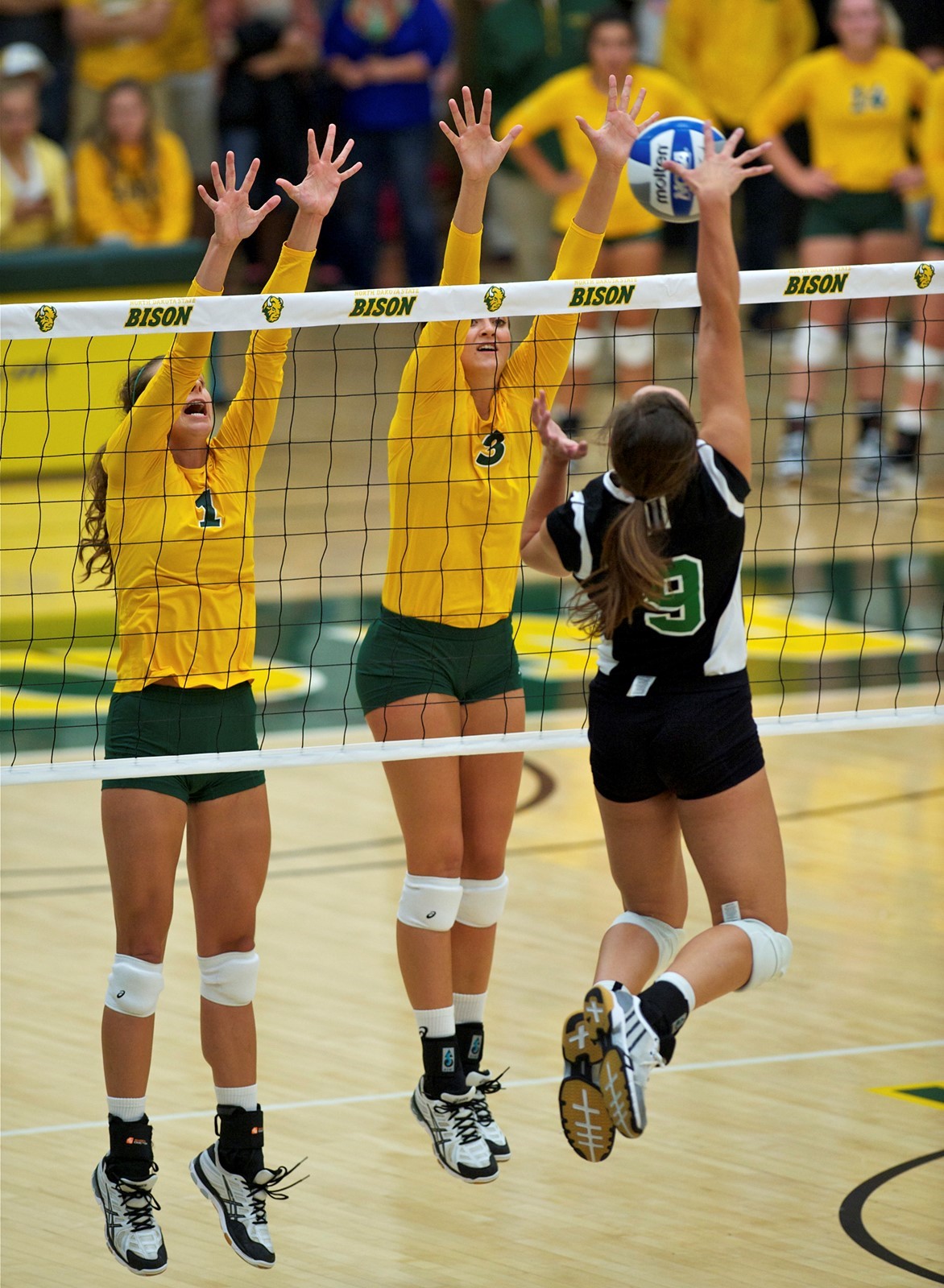 Emily Minnick - 2016 - Women's Volleyball - NDSU