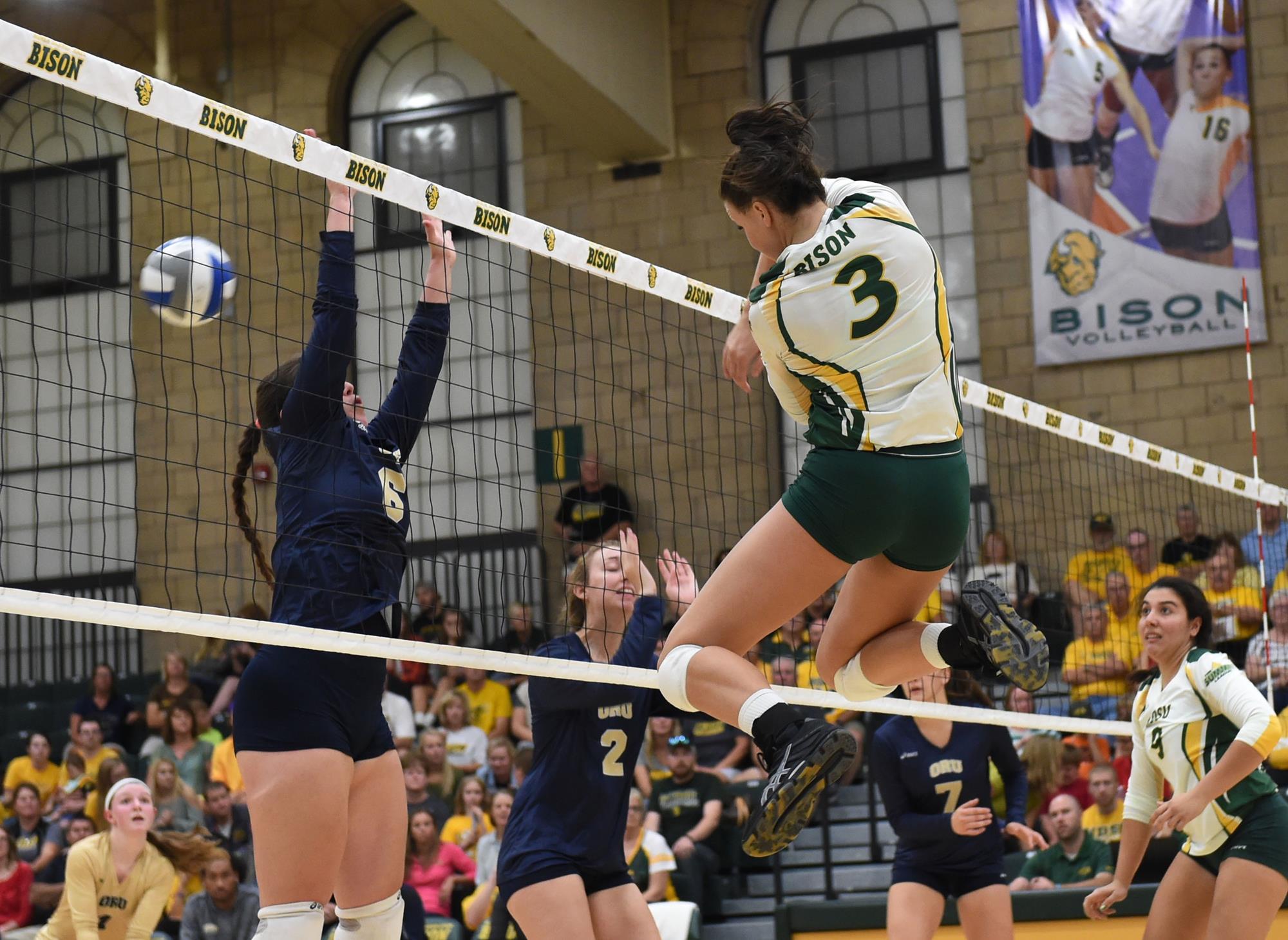 Emily Minnick - 2016 - Women's Volleyball - NDSU