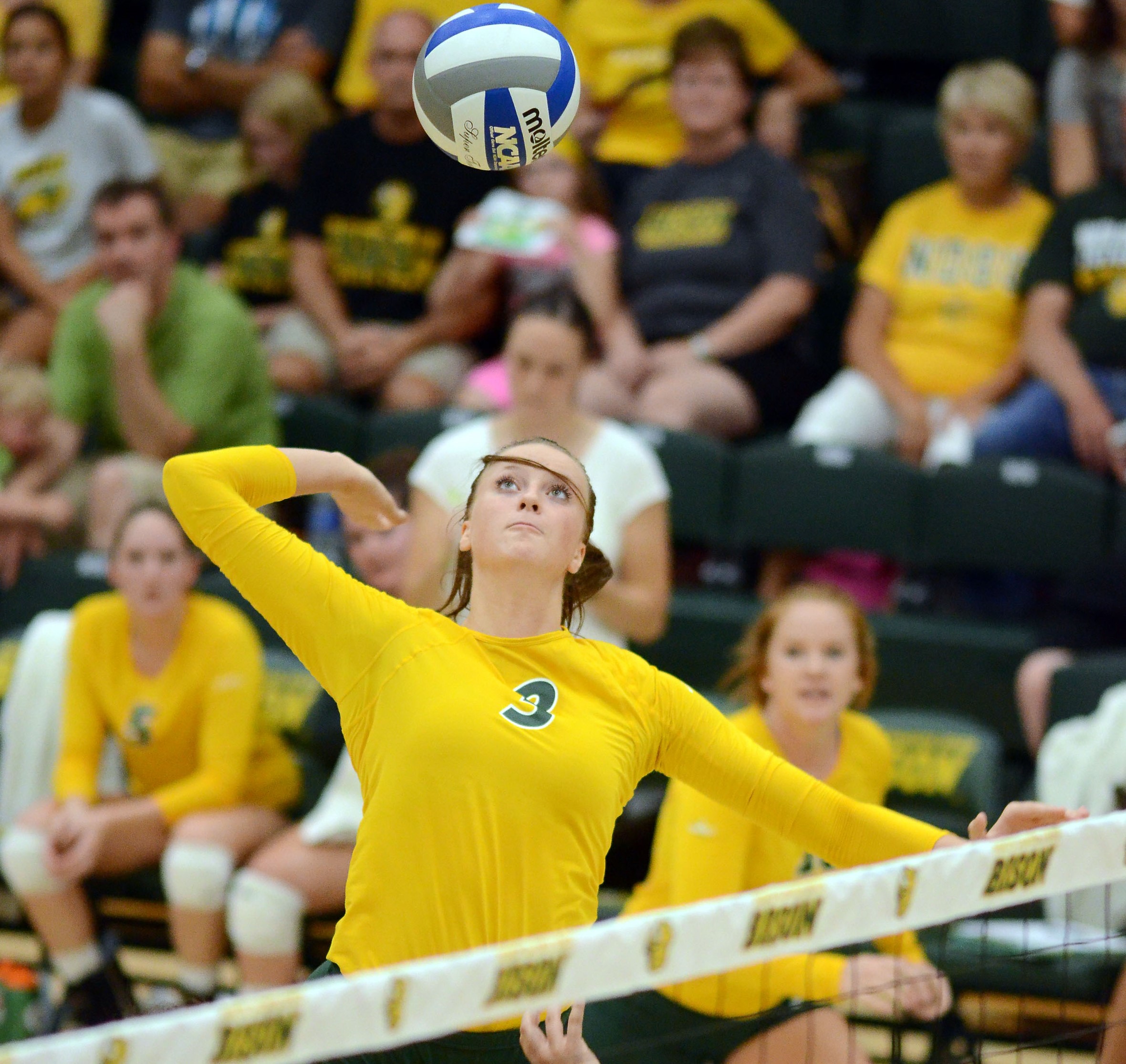 Emily Minnick - 2016 - Women's Volleyball - NDSU