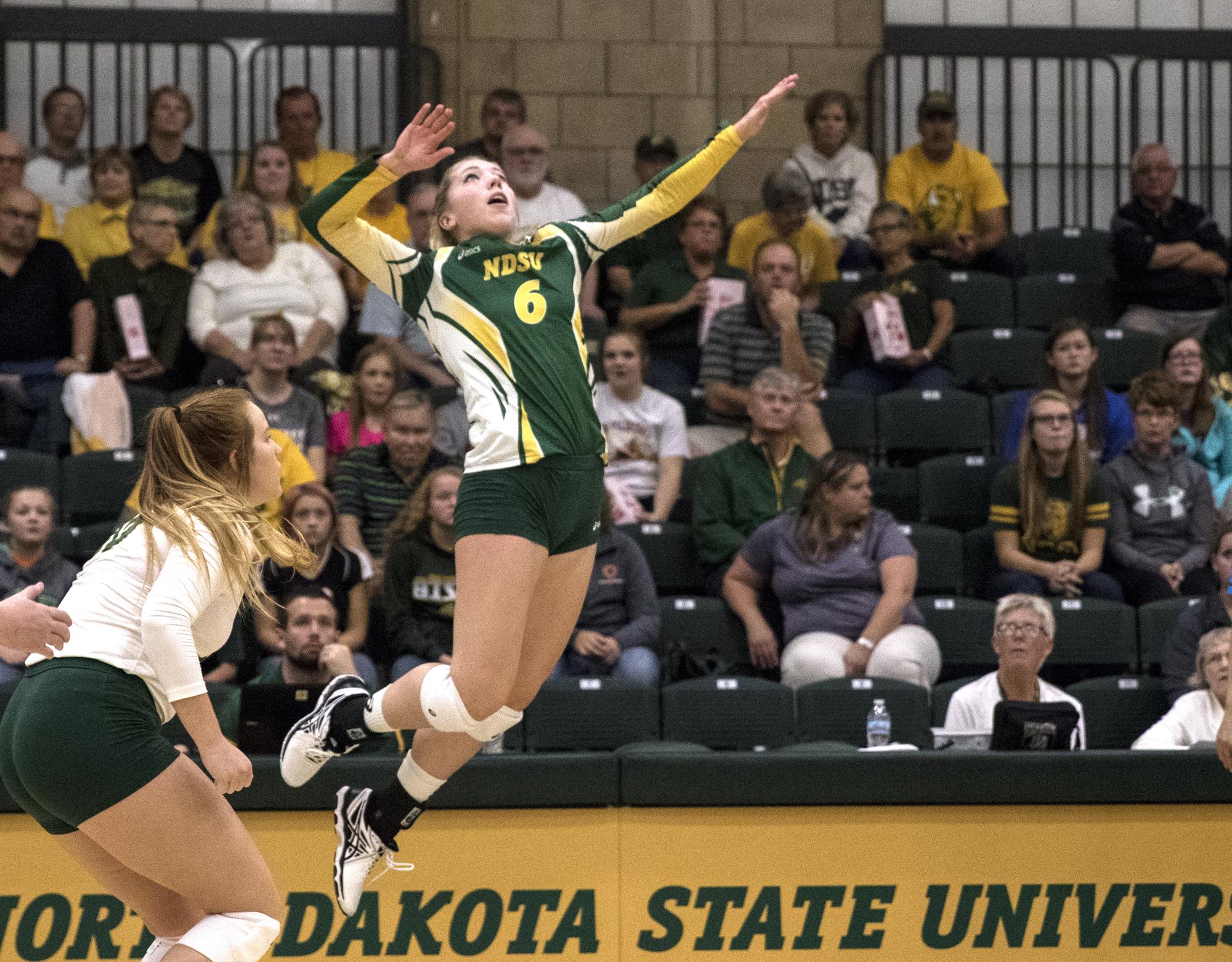 Alex Erickson - 2018 - Women's Volleyball - NDSU