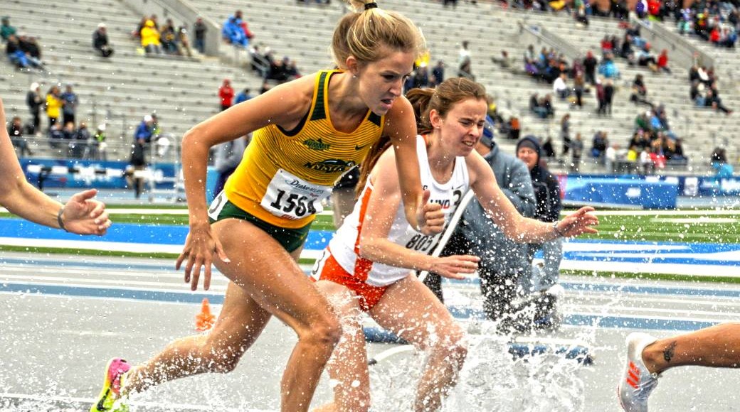 Taylor Janssen - 2017 - Women's Track and Field - NDSU