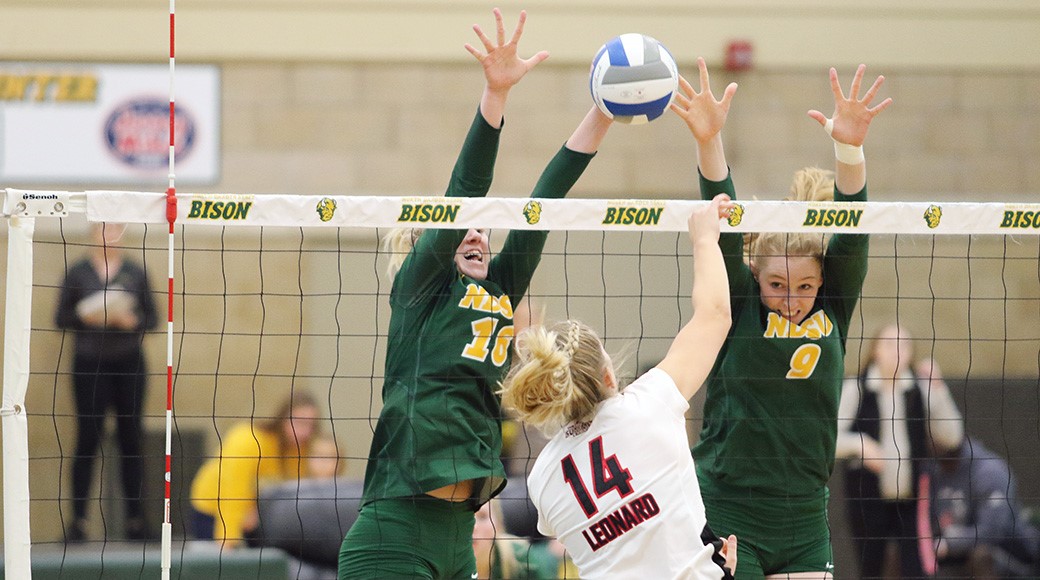 Emily Halverson - 2019 - Women's Volleyball - NDSU