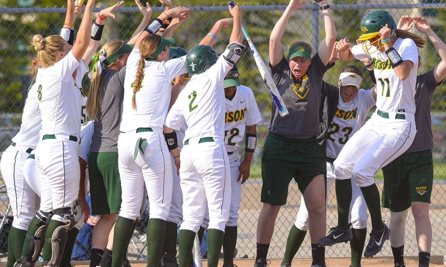 Dani Renner - 2018 - Softball - NDSU