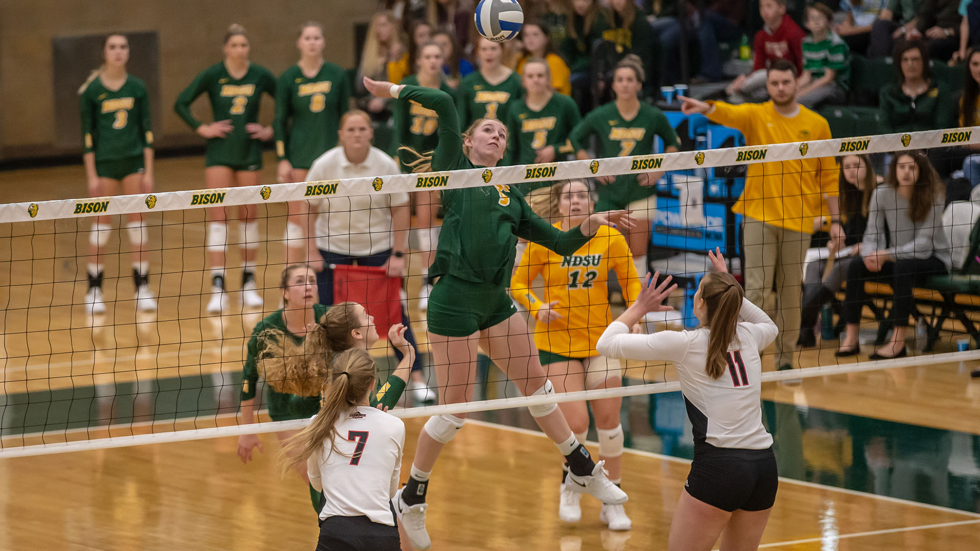 Emily Halverson - 2019 - Women's Volleyball - NDSU