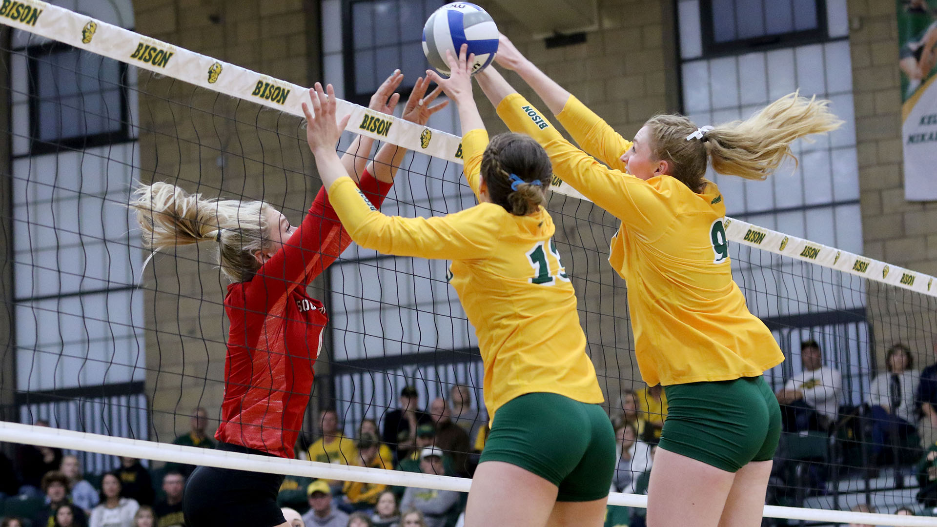 Emily Halverson - 2019 - Women's Volleyball - NDSU
