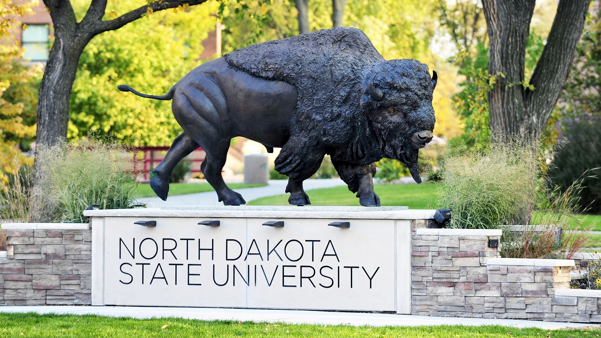 Pioneer Seeds Bison Radio Network Encompasses 25 Stations in North ...