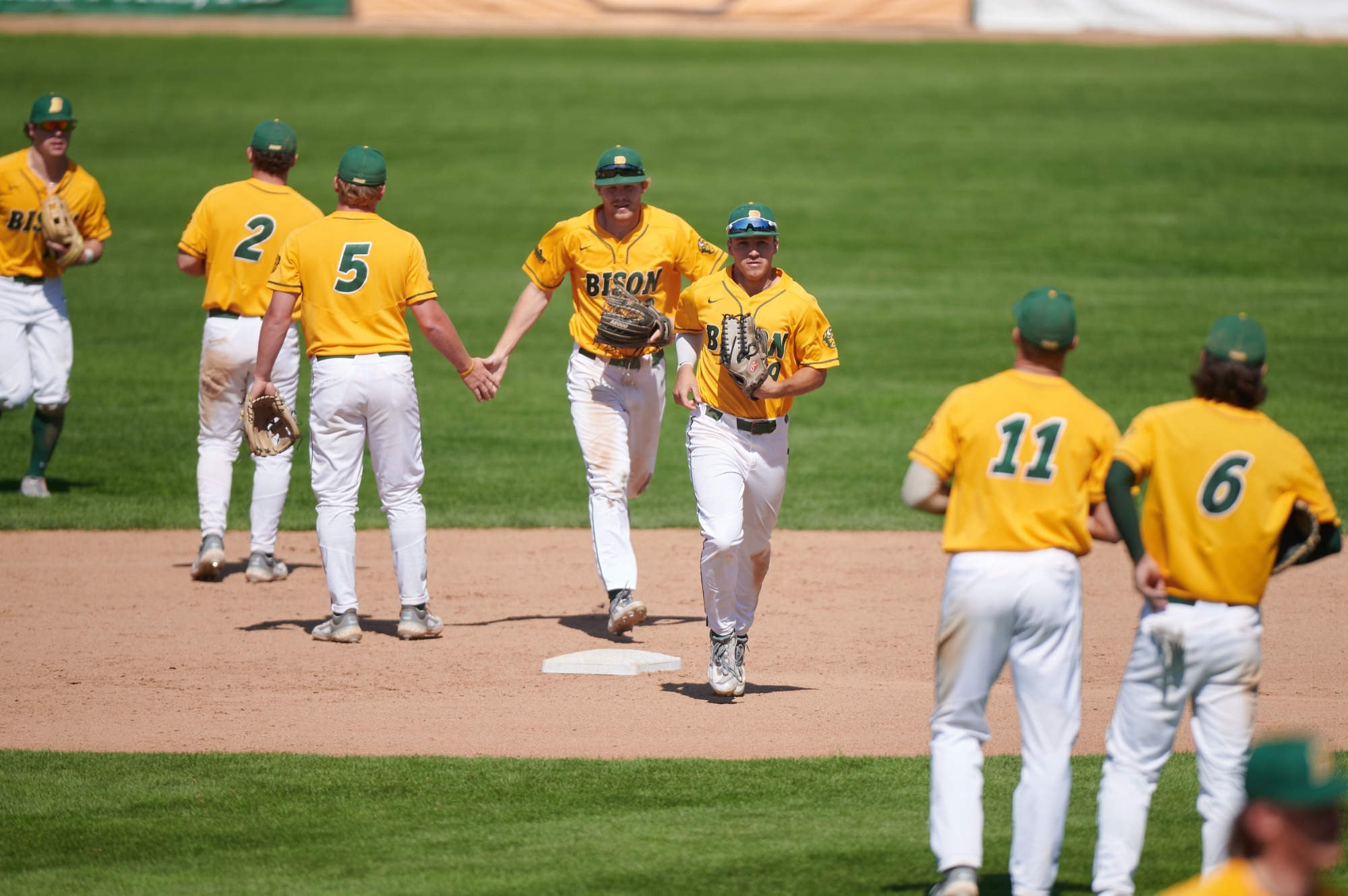 Cadyn Schwabe - 2024 - Baseball - NDSU