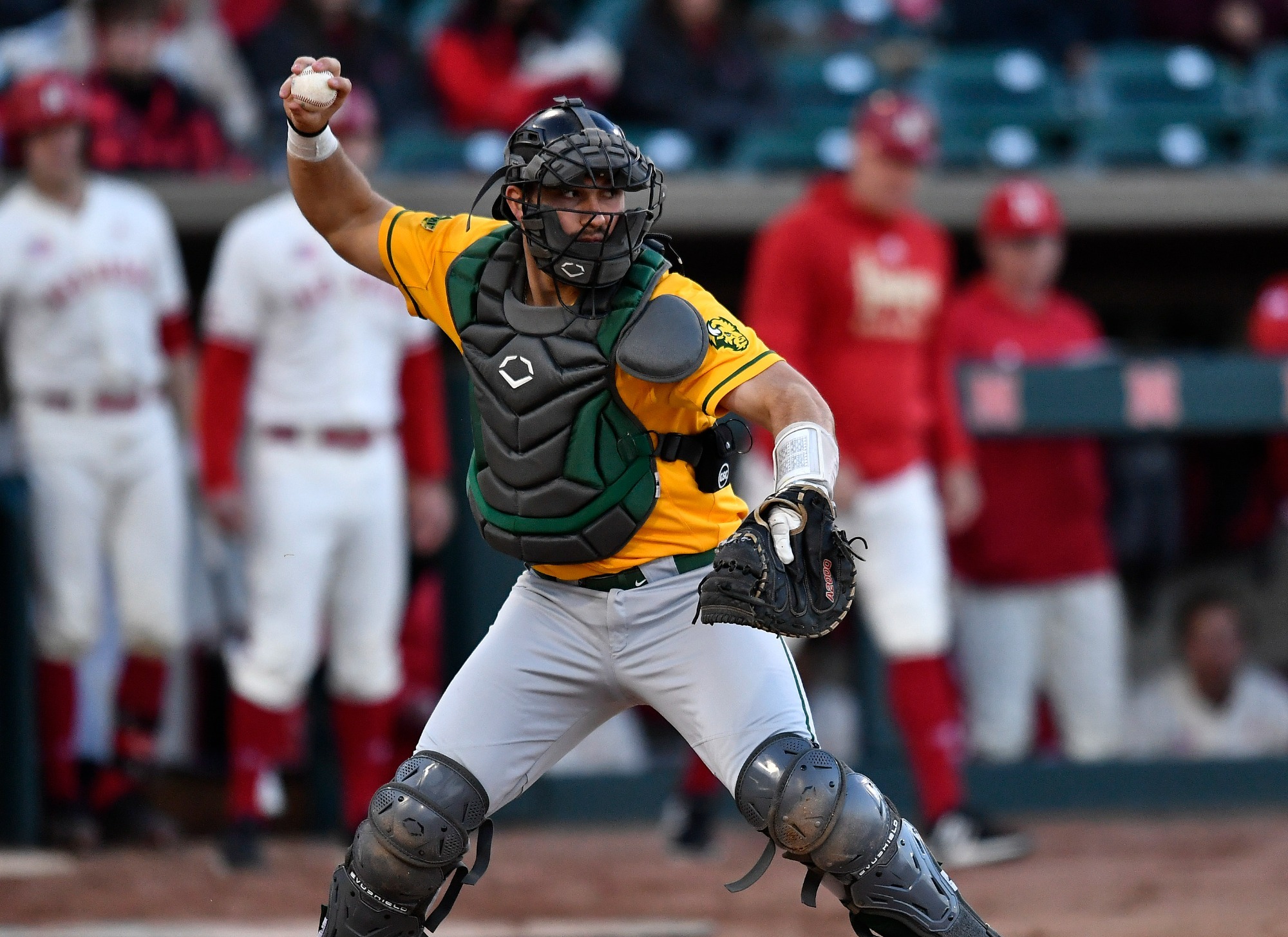 Will Busch - 2024 - Baseball - NDSU