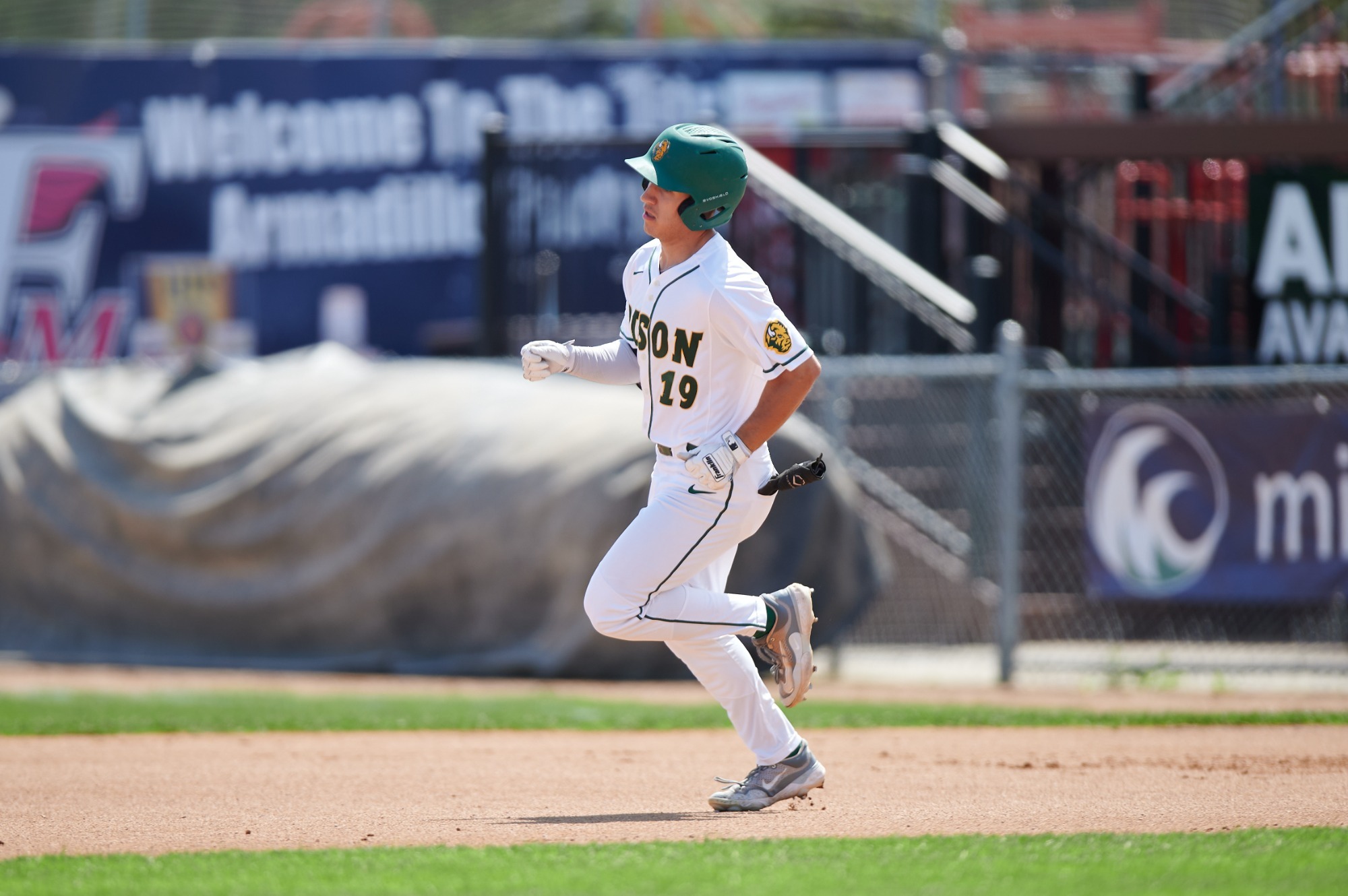 Cadyn Schwabe - 2024 - Baseball - NDSU