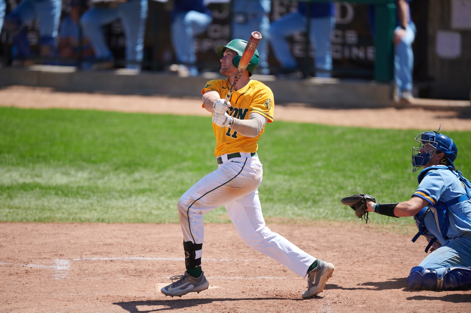 Jack Steil - 2024 - Baseball - NDSU