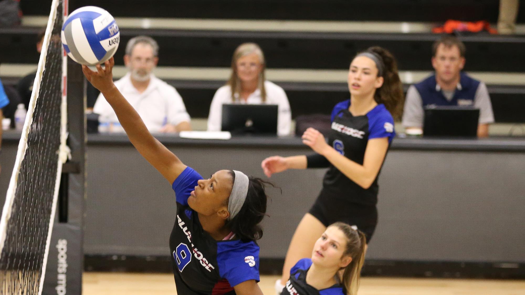 Trinity Williams - 2020 - Volleyball - Presbyterian College