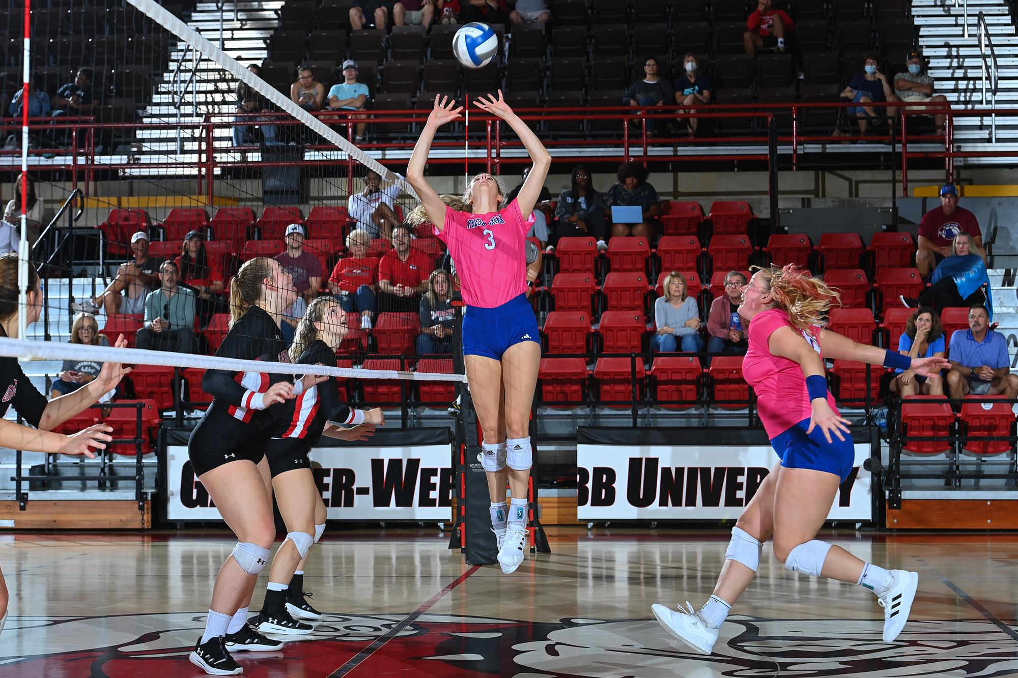 Erin Cooke - 2021 - Volleyball - Presbyterian College