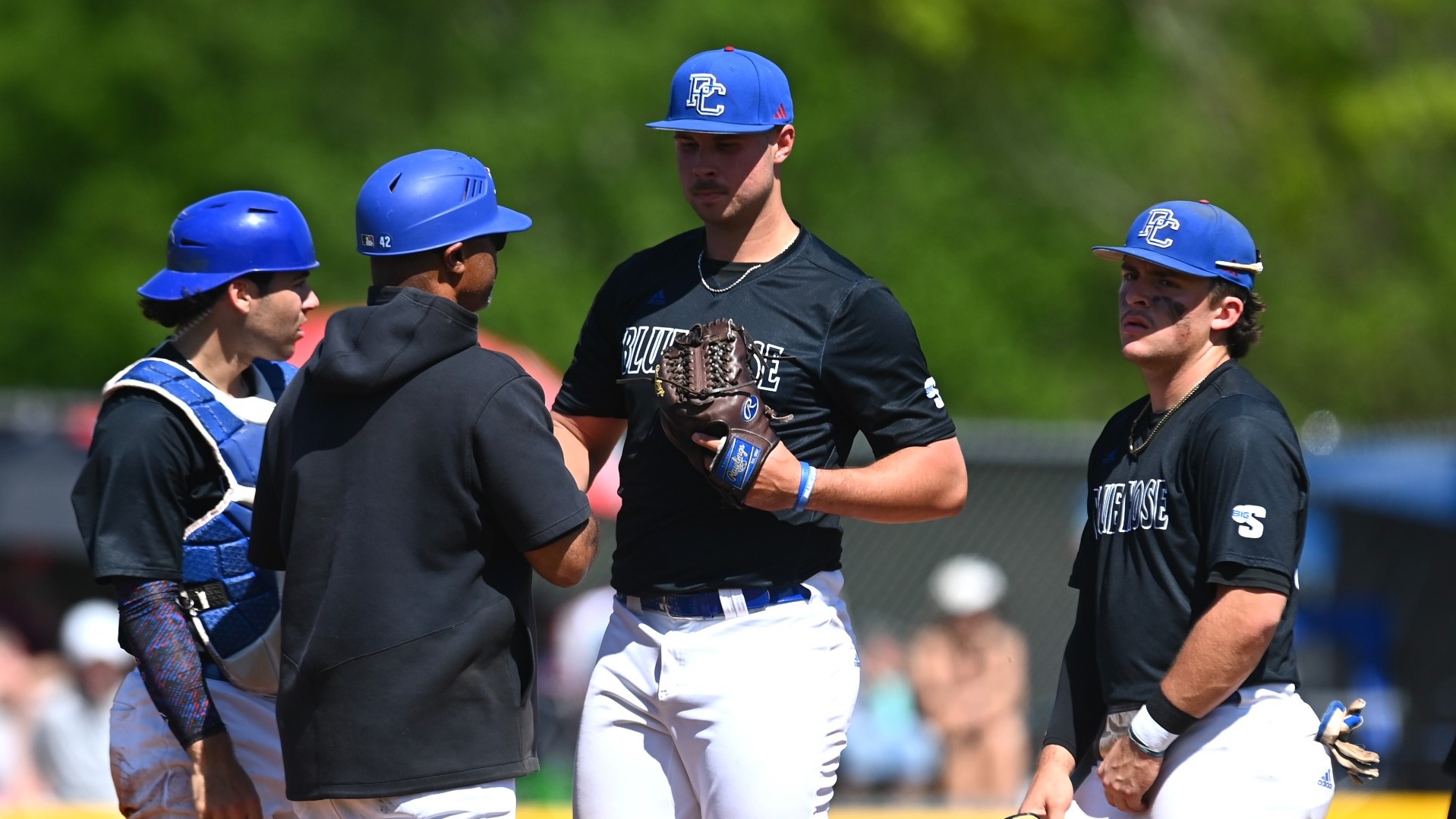 Blue Hose Look for Revenge While Hosting the Terriers - Presbyterian College