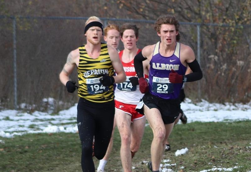 Men's Cross Country finishes season in regional meet - Albion College