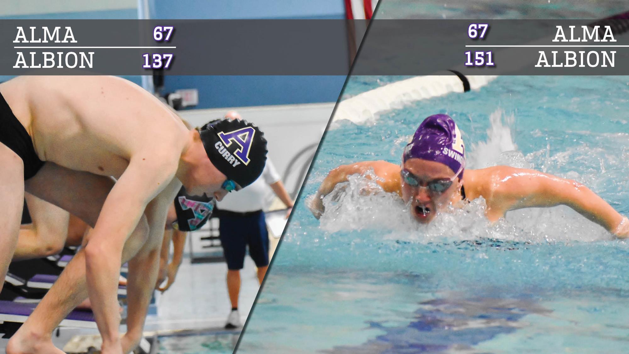 Swim and dive shines in MIAA opener - Albion College