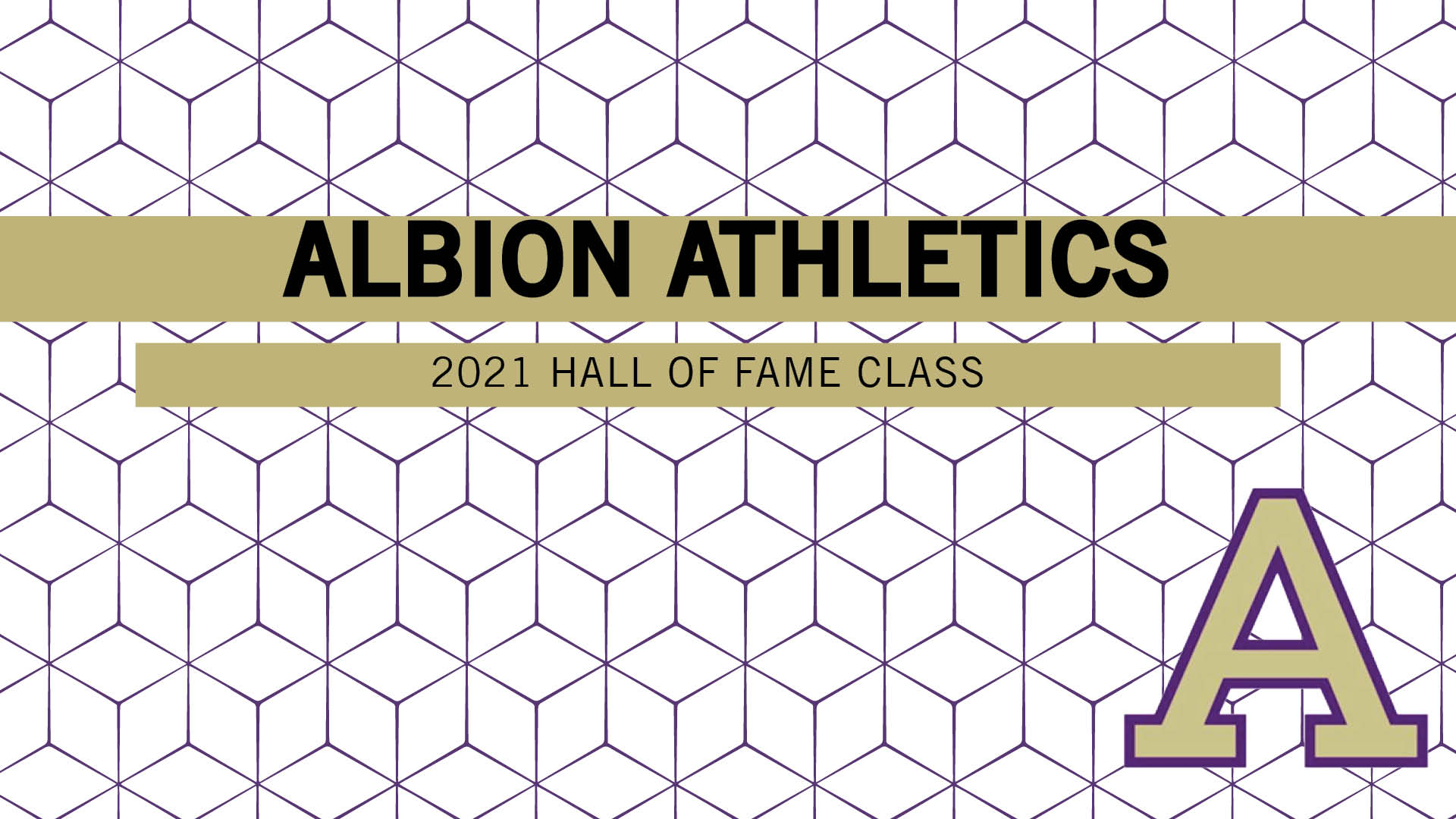 Albion Athletics announces 2021 Hall of Fame class - Albion College
