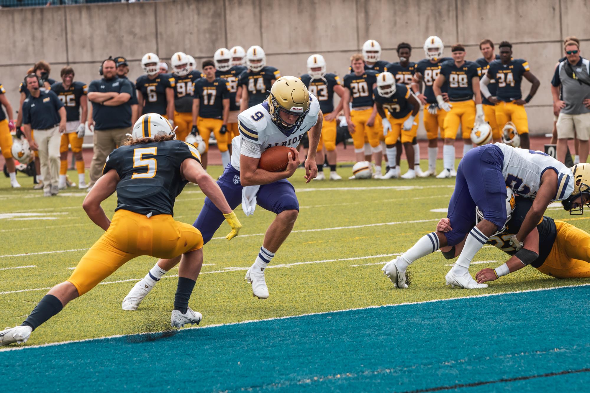 Jack Bush - 2022 - Football - Albion College